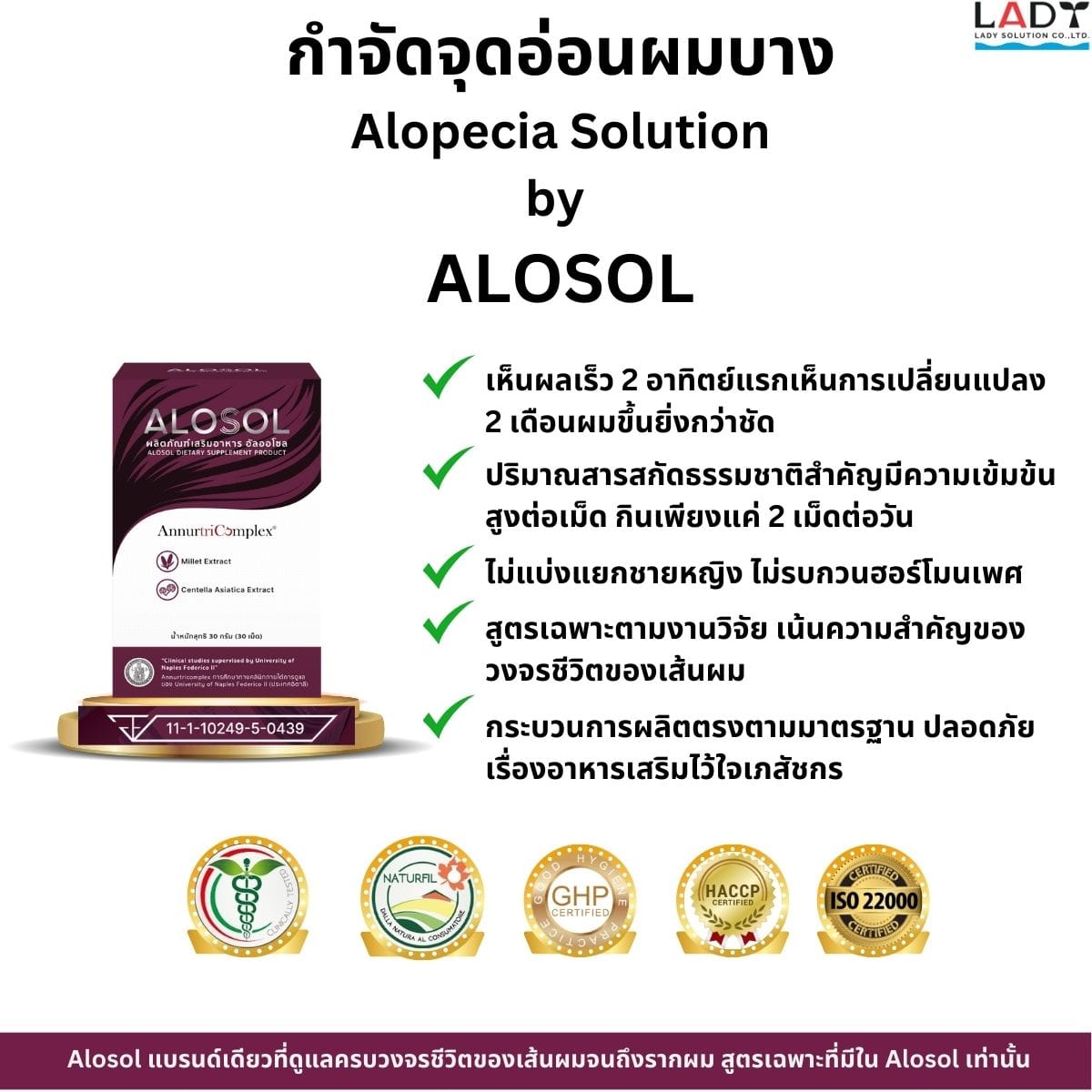 หน้าหลัก - Alosol Thailand