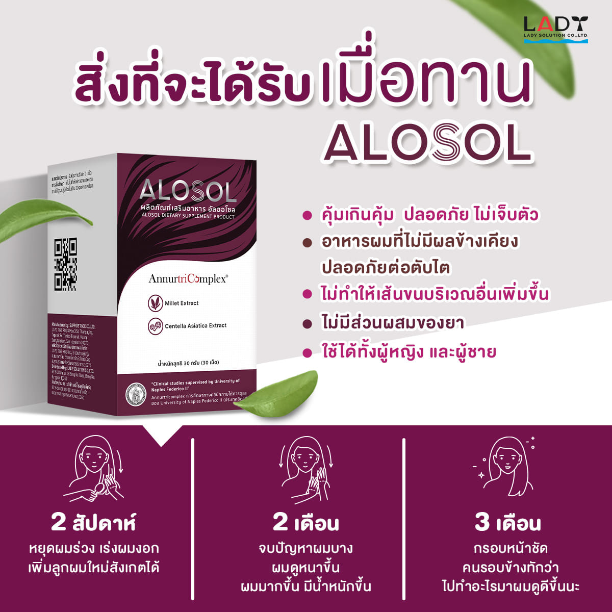 หน้าหลัก - Alosol Thailand